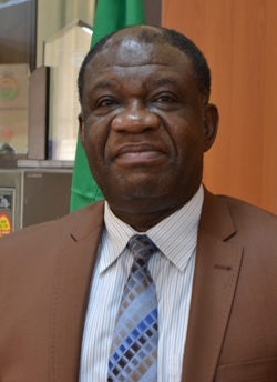 Nigeria-Germany Energy Partnership Records Milestone, As Nebo ...