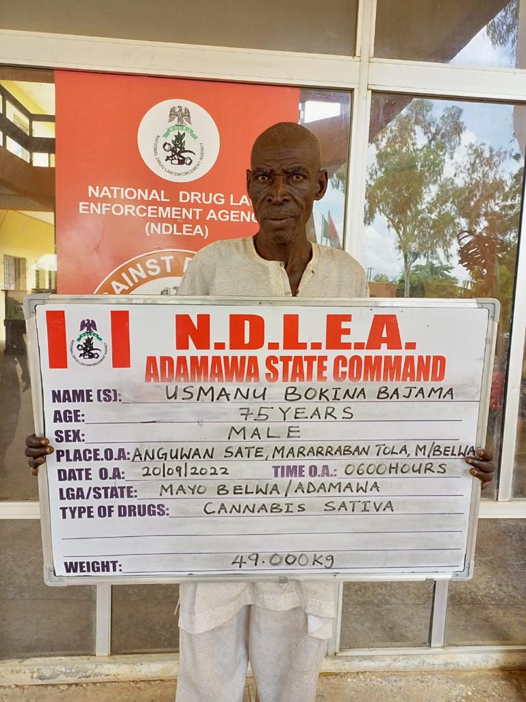 JUST IN: NDLEA Arrests 75-year-old Grandpa, 21 Others over Illicit Drug ...