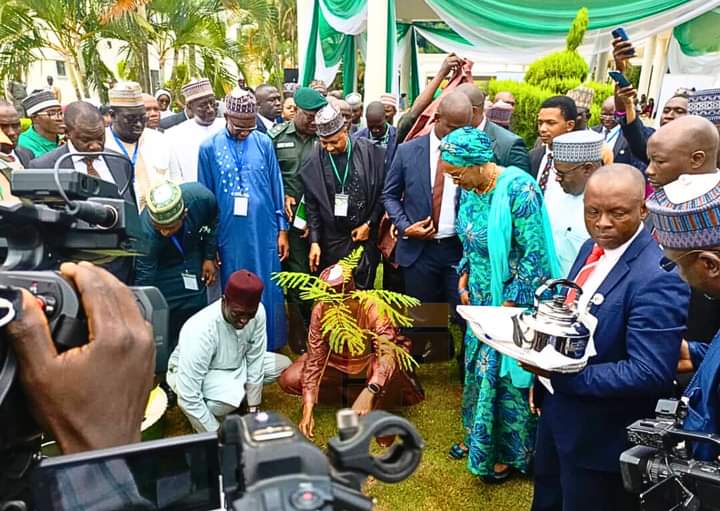 Tinubu, Shettima Mark GGW Day as Bukar Unveils Deforestation Innovation ...