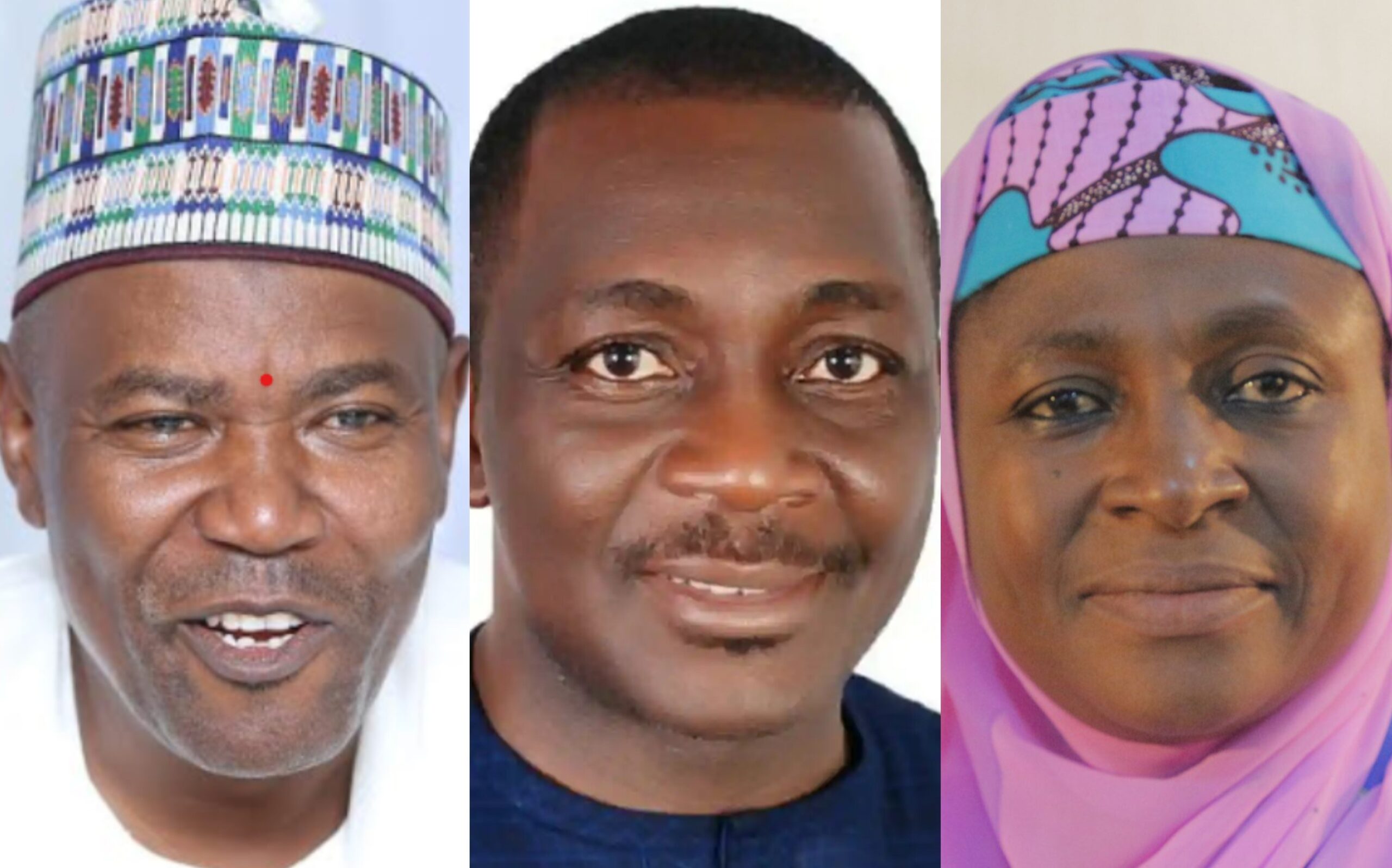 Northern PR Stars: Outstanding Communication Scholars - PRNigeria News