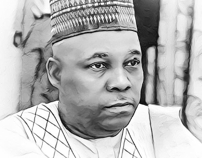 VP Shettima: A Visionary and Detribalized Leader at the Helm of NEC By ...