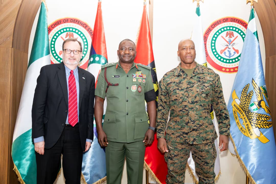 US Africom Commander Hails Nigerian Military on Insecurity War ...
